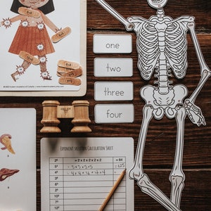Human Body Math Unit: Anatomy for Kids, Bandaid Math (digital Download ...