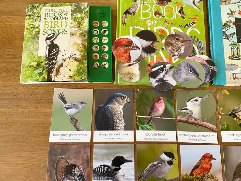 Woodland Birds Flashcards Birds Matching Flashcards - Etsy