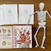 Movable Skeleton DIY Printable Halloween Skeleton Craft - Etsy UK