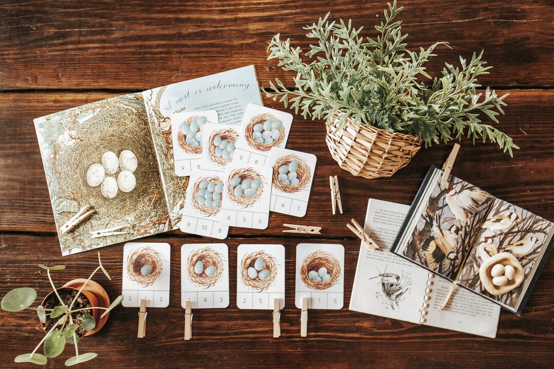 Nest and Eggs Count & Clip Cards: Montessori Printable (digital ...