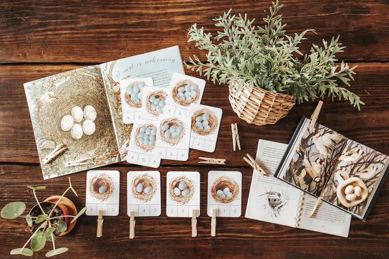 Nest and Eggs Count and Clip Cards Montessori Materials - Etsy