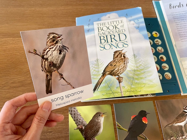 Backyard Birds Bingo Birds Bingo Game Nature Bingo - Etsy