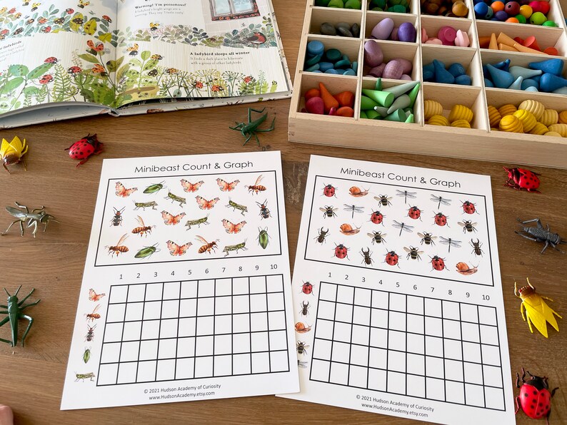 Minibeasts Learning Pack: Nature Study Activity Worksheets (instant ...