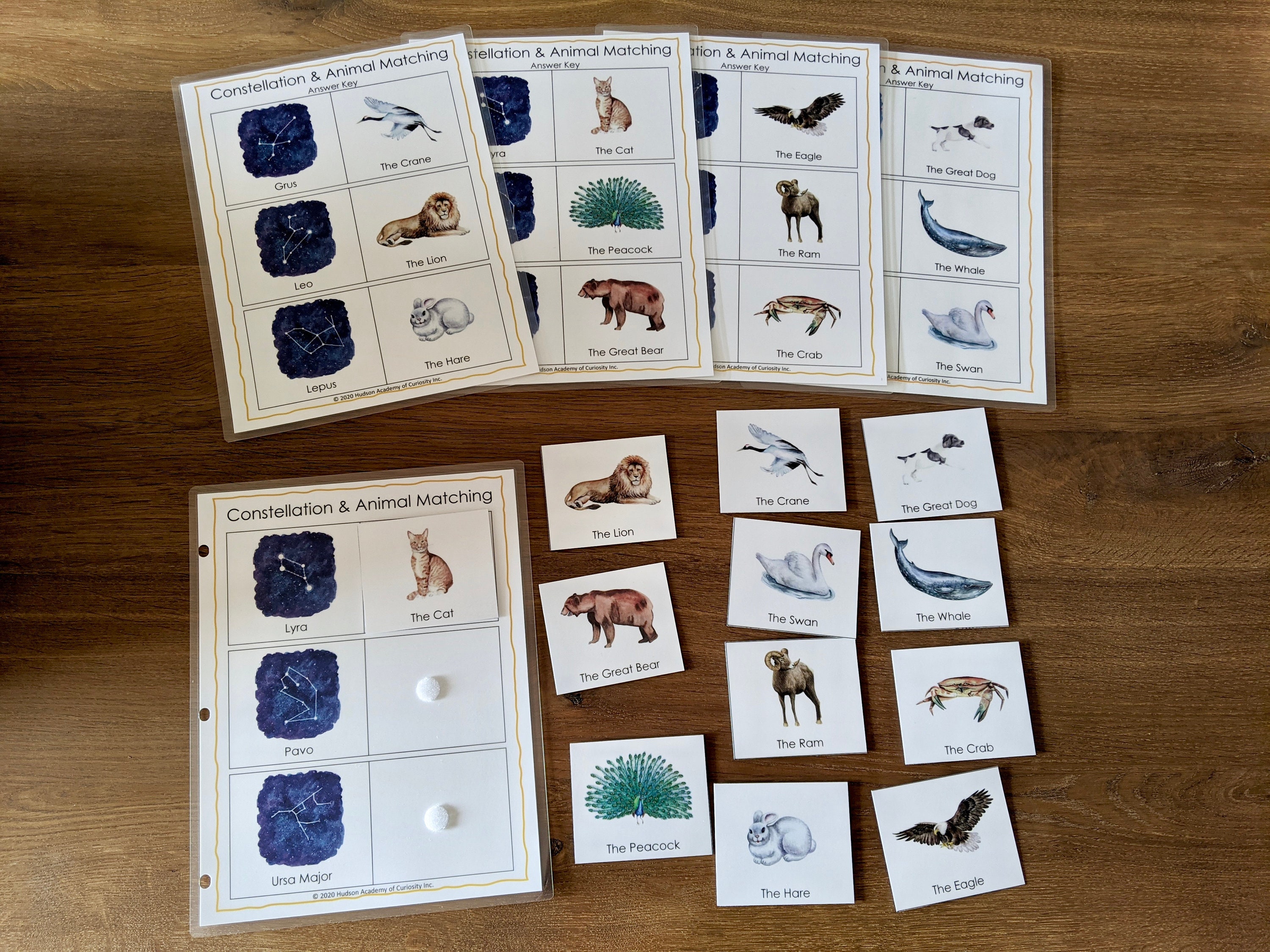 Constellations Learning Pack: Astronomy Matching & Tracing (PDF) - Etsy