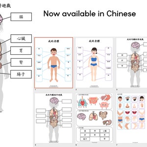 BUSY BOOK PRINTABLE My Body Worksheets Pre-K and K Learning | Etsy