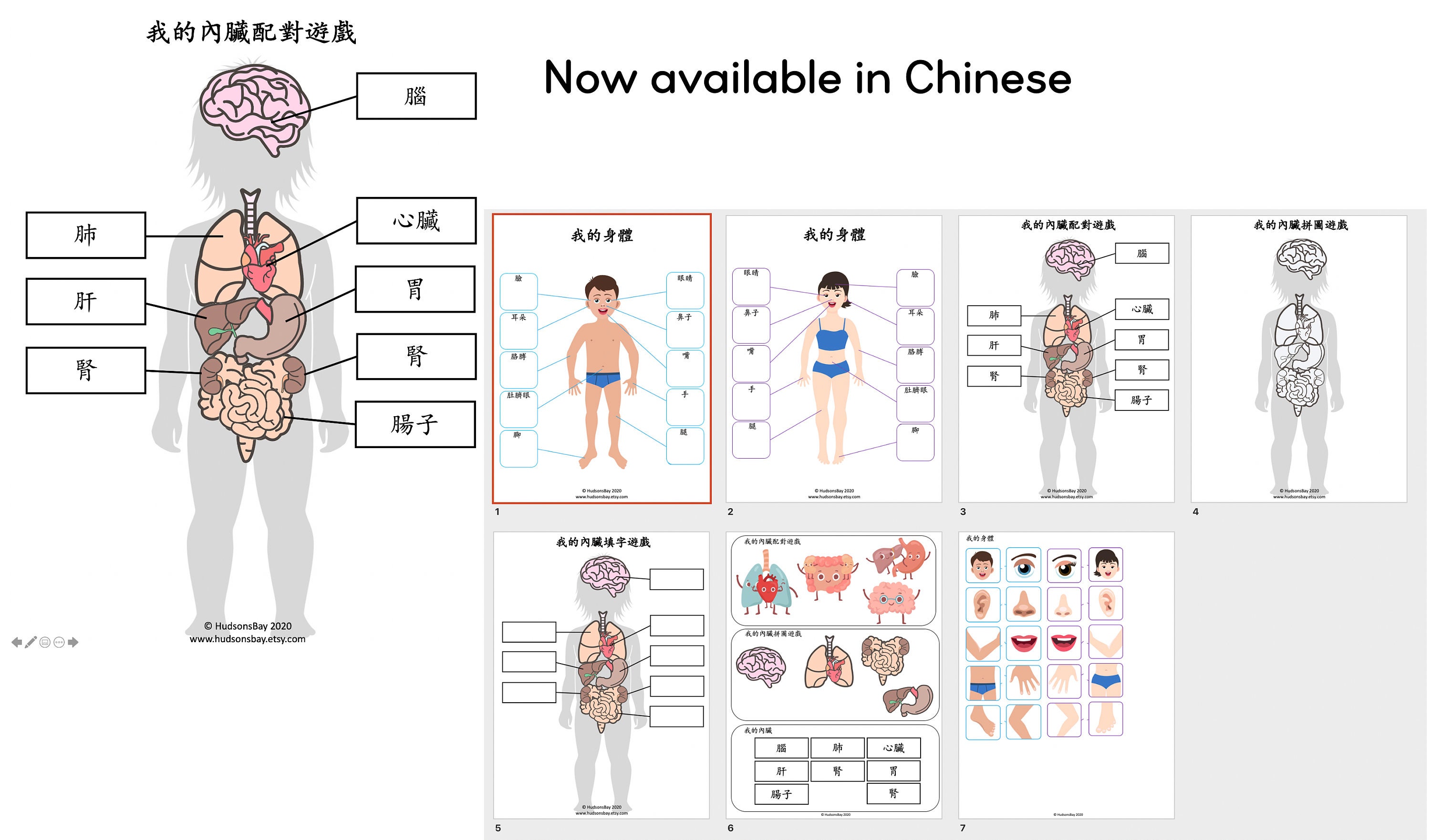 BUSY BOOK PRINTABLE My Body Worksheets Pre-K and K Learning | Etsy España