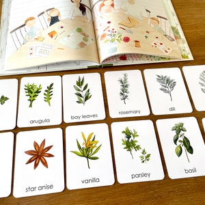 Garden Herb Cards Printable, MONTESSORI MATERIALS PRINTABLE, Three Part ...