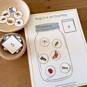 Minibeasts Learning Pack: Nature Study Activity Worksheets (instant ...
