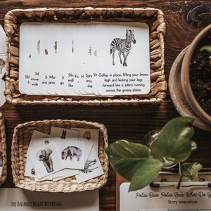 Zoology Themed Math Unit, Zoo Animals Busy Book, Telling-time, Animal ...