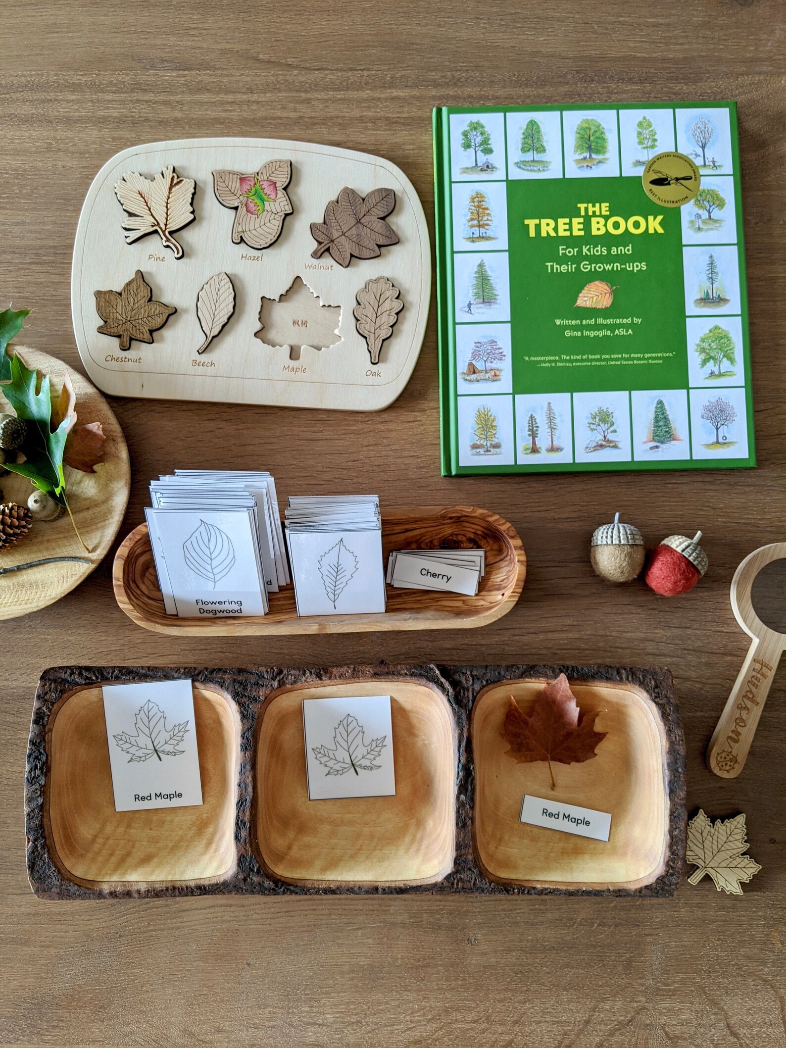 Leaf Foliage Cards Montessori Materials Printable Three Part | Etsy