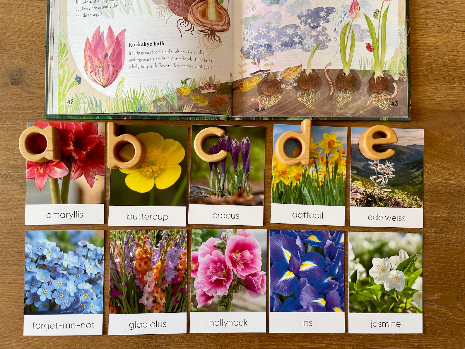 Flowers A-Z Alphabet Flashcards, Montessori Materials Printable, Spring ...