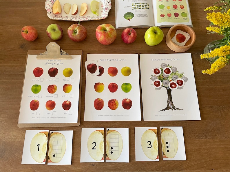 Apple Learning Pack: Montessori Matching & Counting Flashcards (PDF) - Etsy