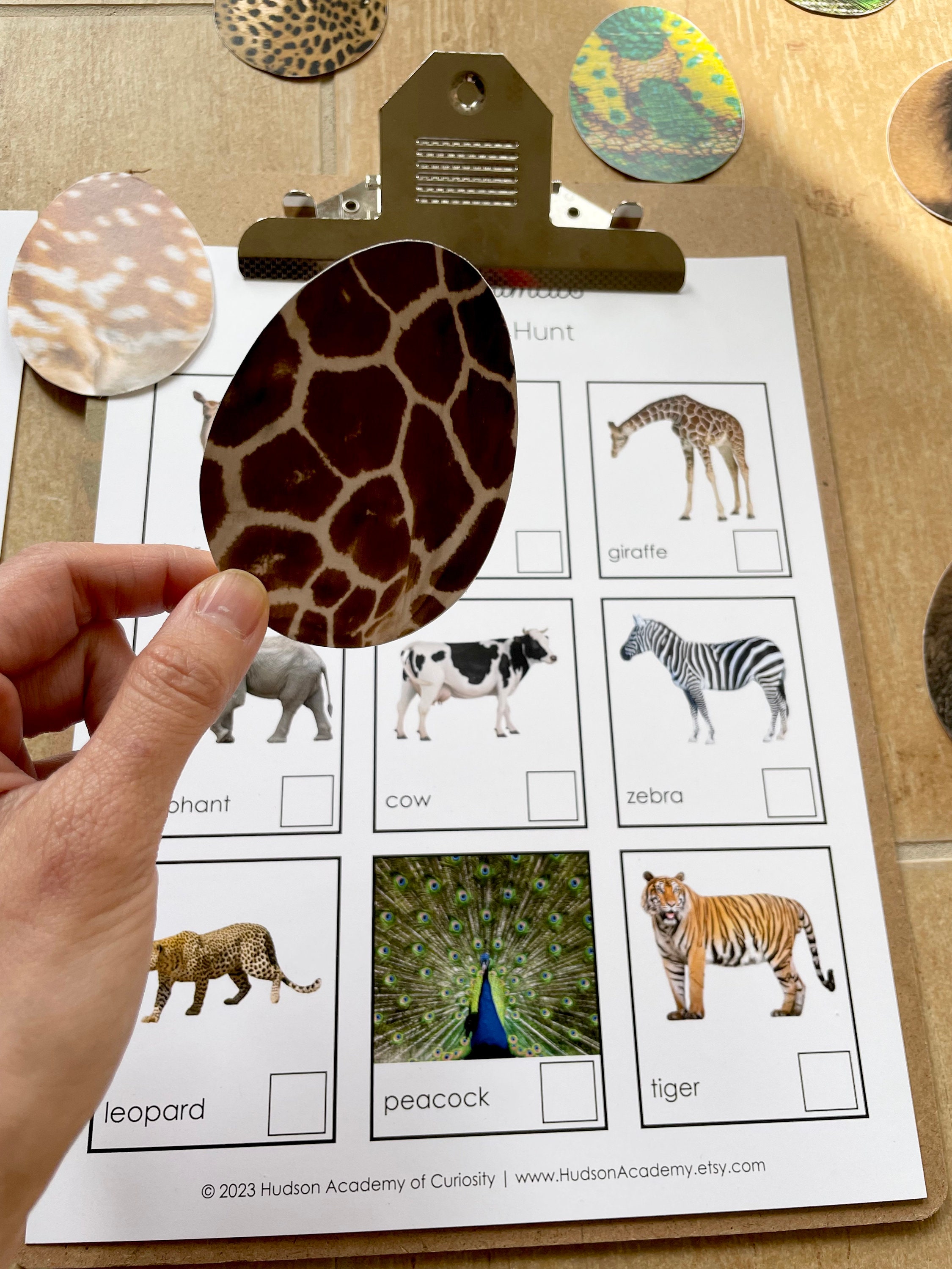Zoo Animals Details Matching Zoo Animals Scavenger Hunt - Etsy Canada