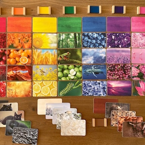 Color Matching Cards: Nature Photos, Montessori Learning (printable PDF ...