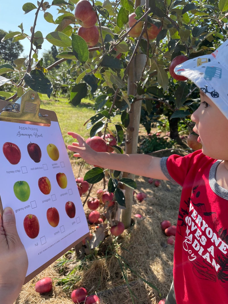 Apple Learning Pack: Montessori Matching & Counting Flashcards (PDF) - Etsy