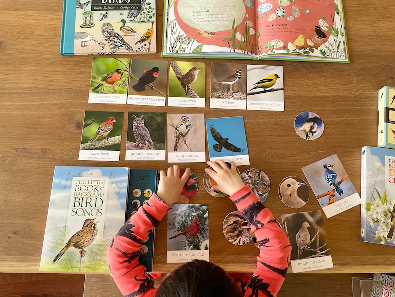 Backyard Birds Cards Birds Matching Flashcards Montessori | Etsy