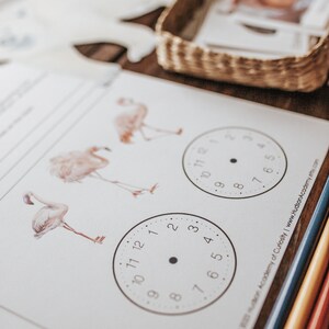 Zoology Themed Math Unit, Zoo Animals Busy Book, Telling-time, Animal ...