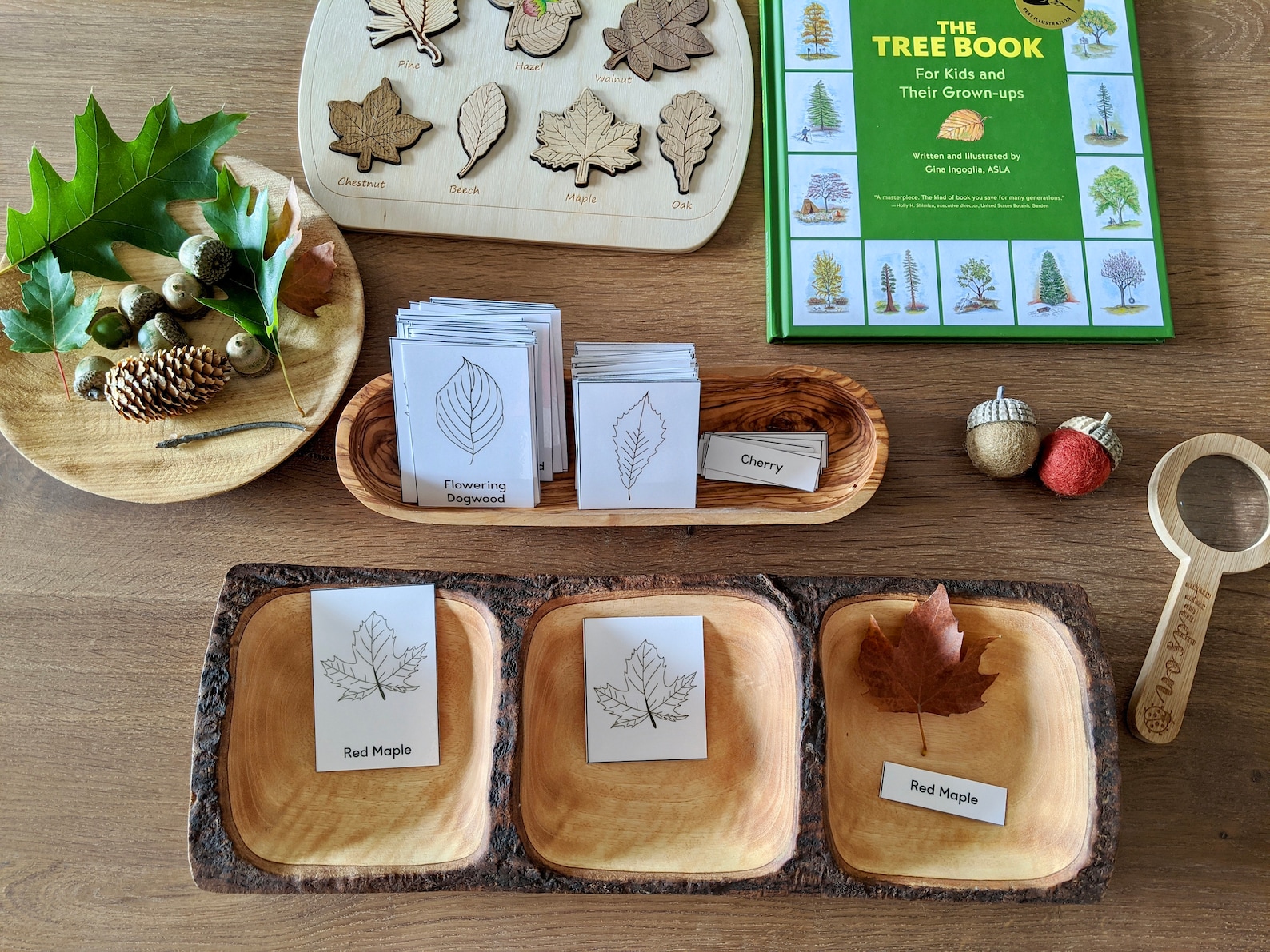 Leaf Foliage Cards Montessori Materials Printable Three Part | Etsy