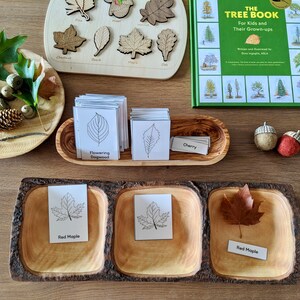 Leaf Foliage Cards, Montessori Materials Printable, Three Part Cards ...