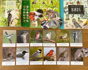 Elephant Unit Study Elephant Anatomy and Species Three Part - Etsy