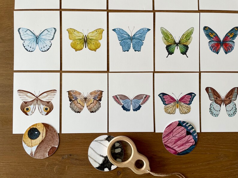 Butterfly Matching Cards Montessori Materials Printable - Etsy