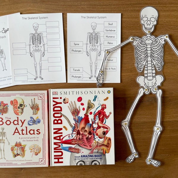 Human Anatomy Printable - Etsy