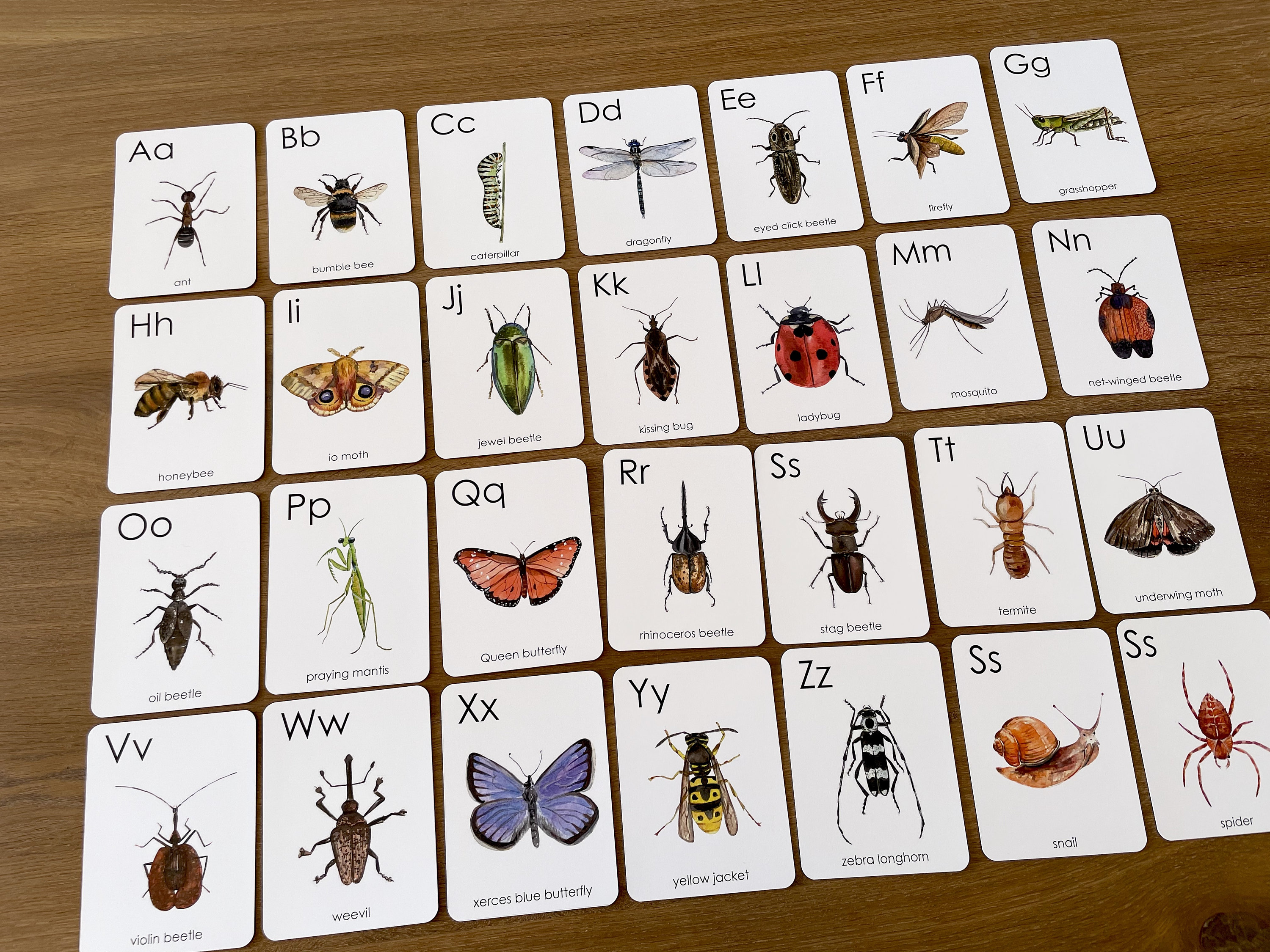 Minibeast Alphabet Flashcards: Bugs & Beetles A-Z (printable) - Etsy