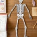Movable Skeleton DIY Printable Halloween Skeleton Craft - Etsy UK