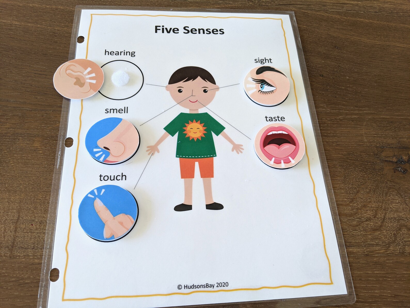 Five Senses Worksheets Toddler Busy Book Printable Toddler | Etsy
