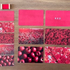 Color Matching Cards: Nature Photos, Montessori Learning (printable PDF ...