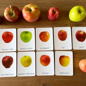 Apple Learning Pack: Montessori Matching & Counting Flashcards (PDF) - Etsy