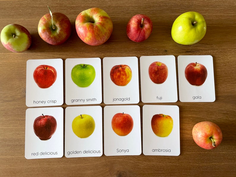 Apple Learning Pack: Montessori Matching & Counting Flashcards (PDF) - Etsy