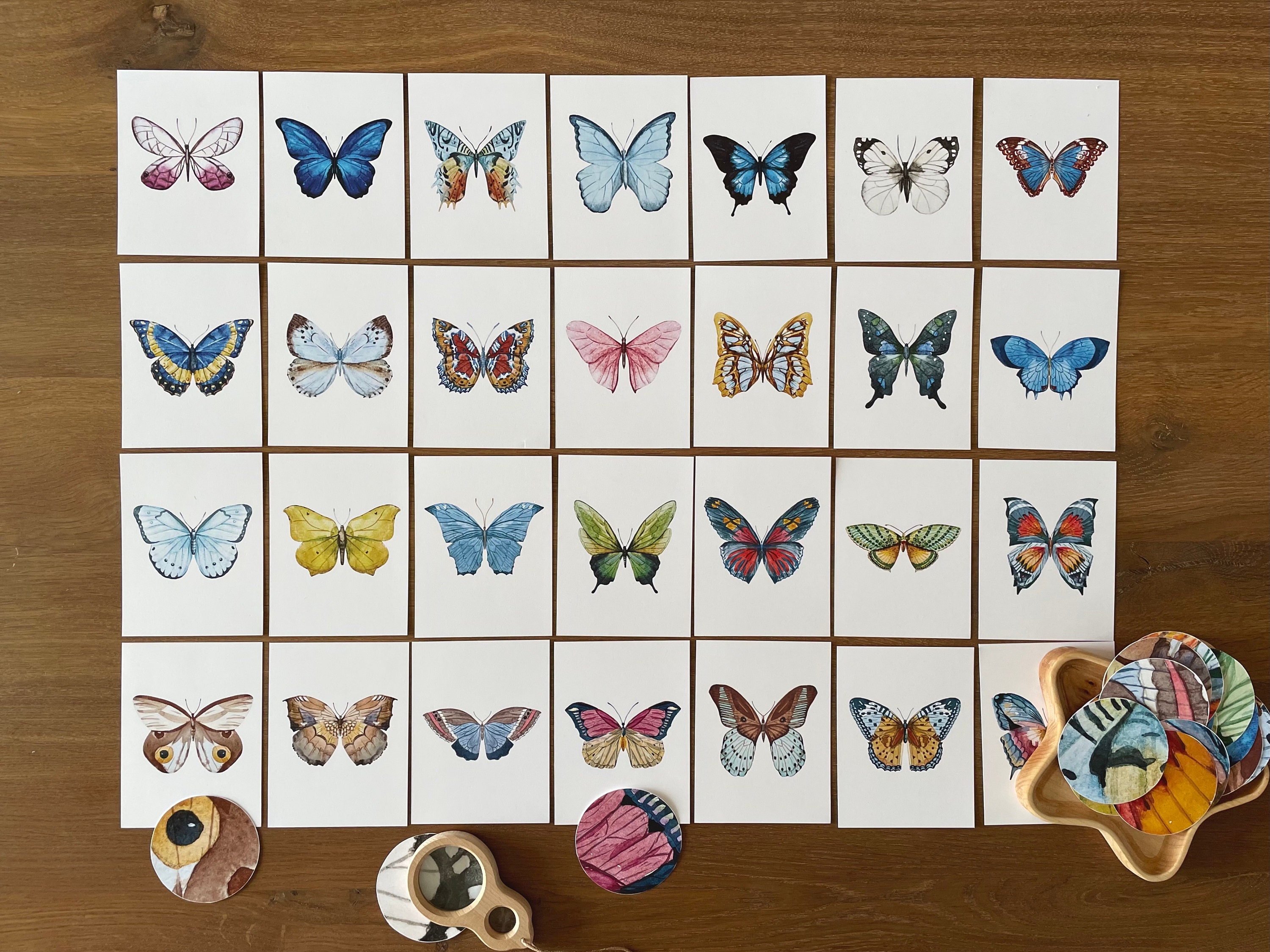 Butterfly Matching Cards Montessori Materials Printable | Etsy Australia
