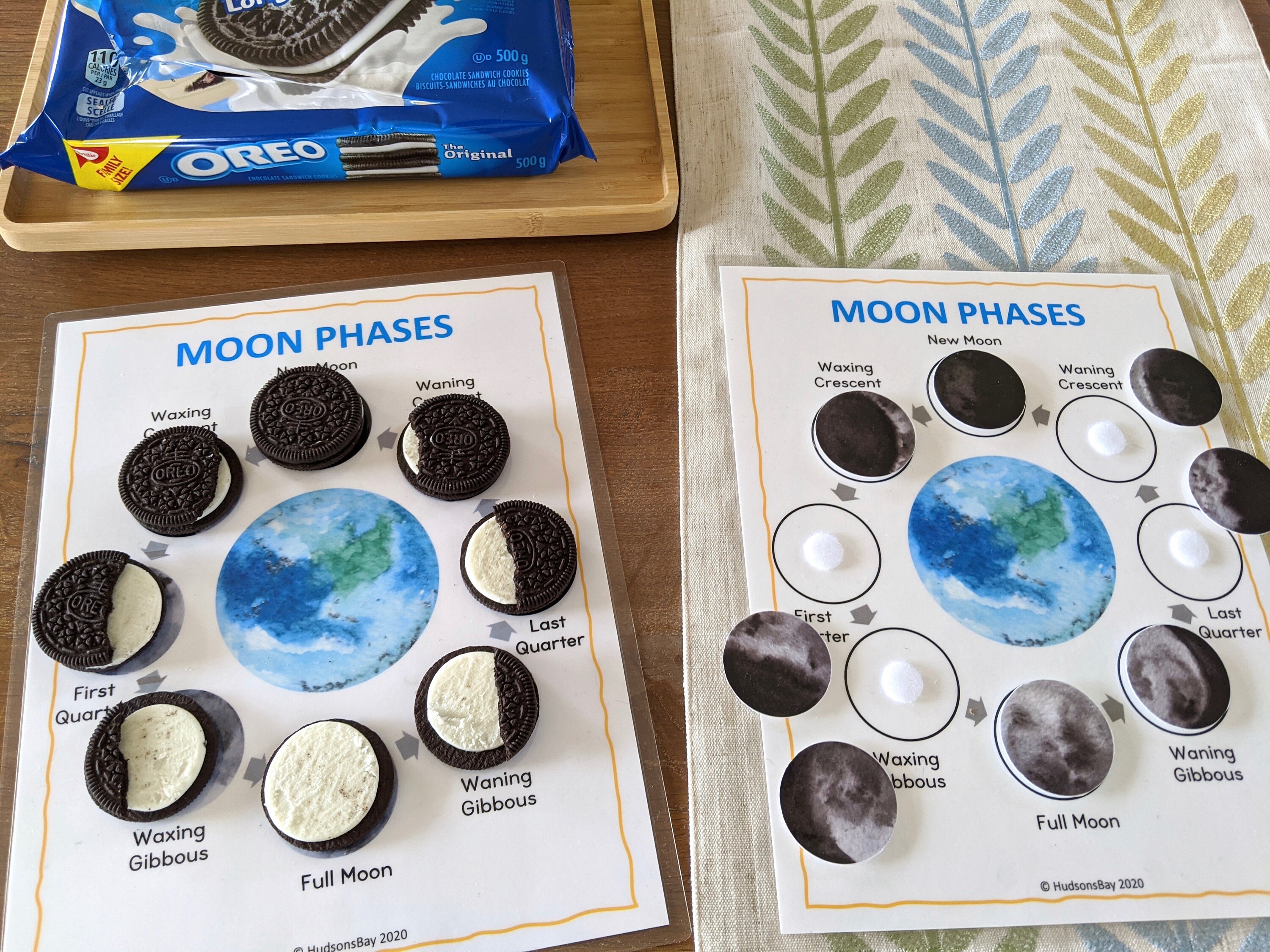 Moon Phases Printable Phases of the Moon Flashcards | Etsy