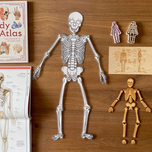 Movable Skeleton Printable: Halloween DIY Craft (PDF Download) - Etsy