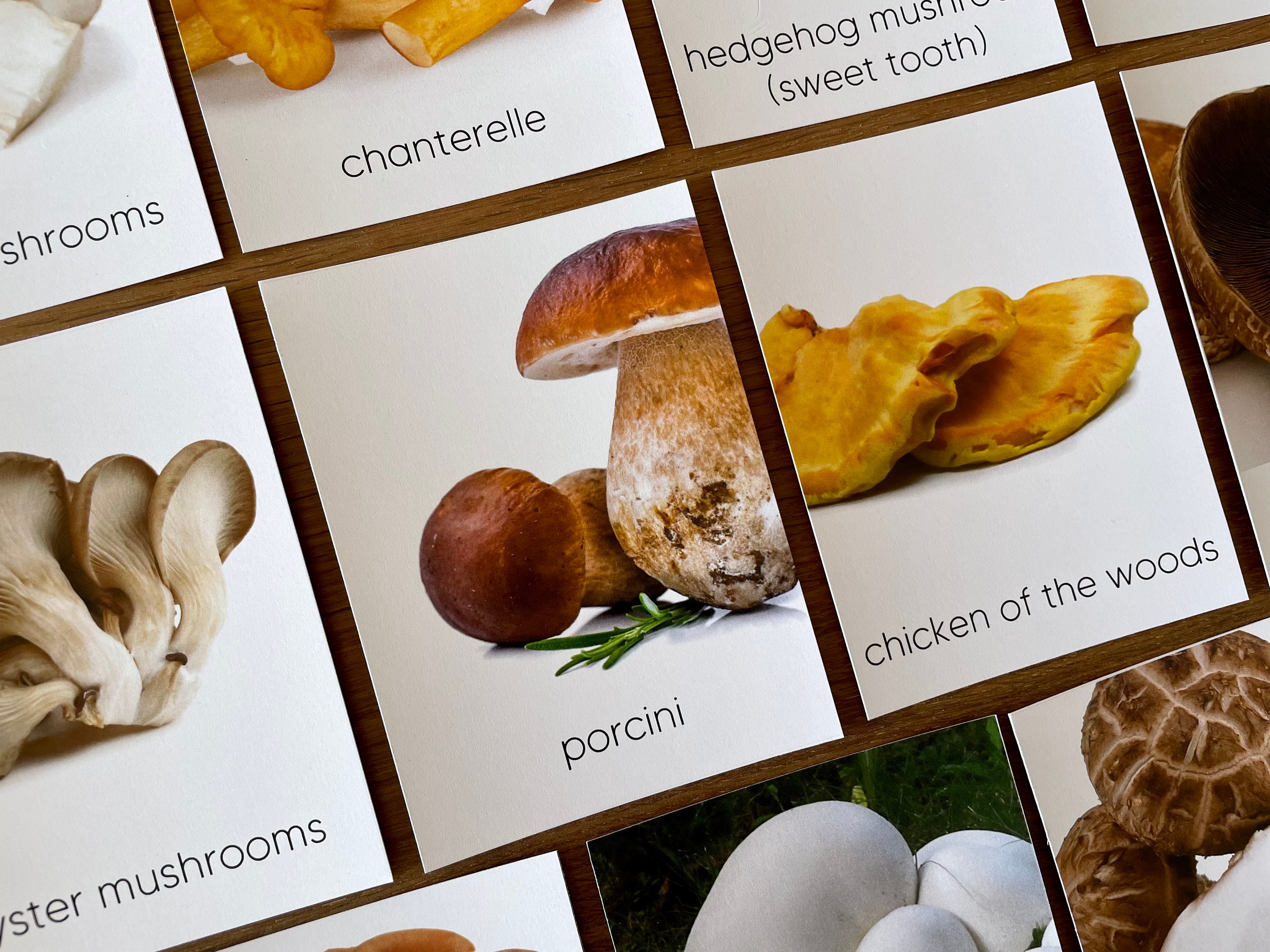 Edible Mushroom Montessori Flashcards: Nature Study Printable (PDF) - Etsy