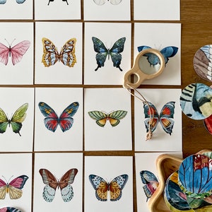 Butterfly Matching Cards: Montessori Nature Study (digital Download) - Etsy