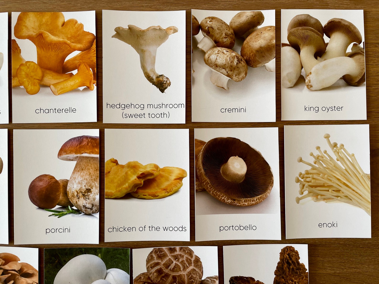 Edible Mushroom Montessori Flashcards Montessori Materials - Etsy