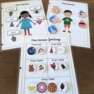 Five Senses Worksheets, Toddler Busy Book Printable, Toddler Learning ...