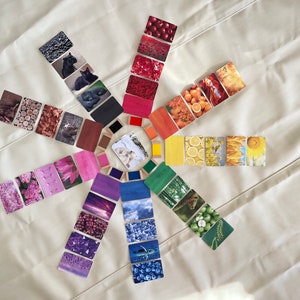 Color Matching Cards: Nature Photos, Montessori Learning (printable PDF ...
