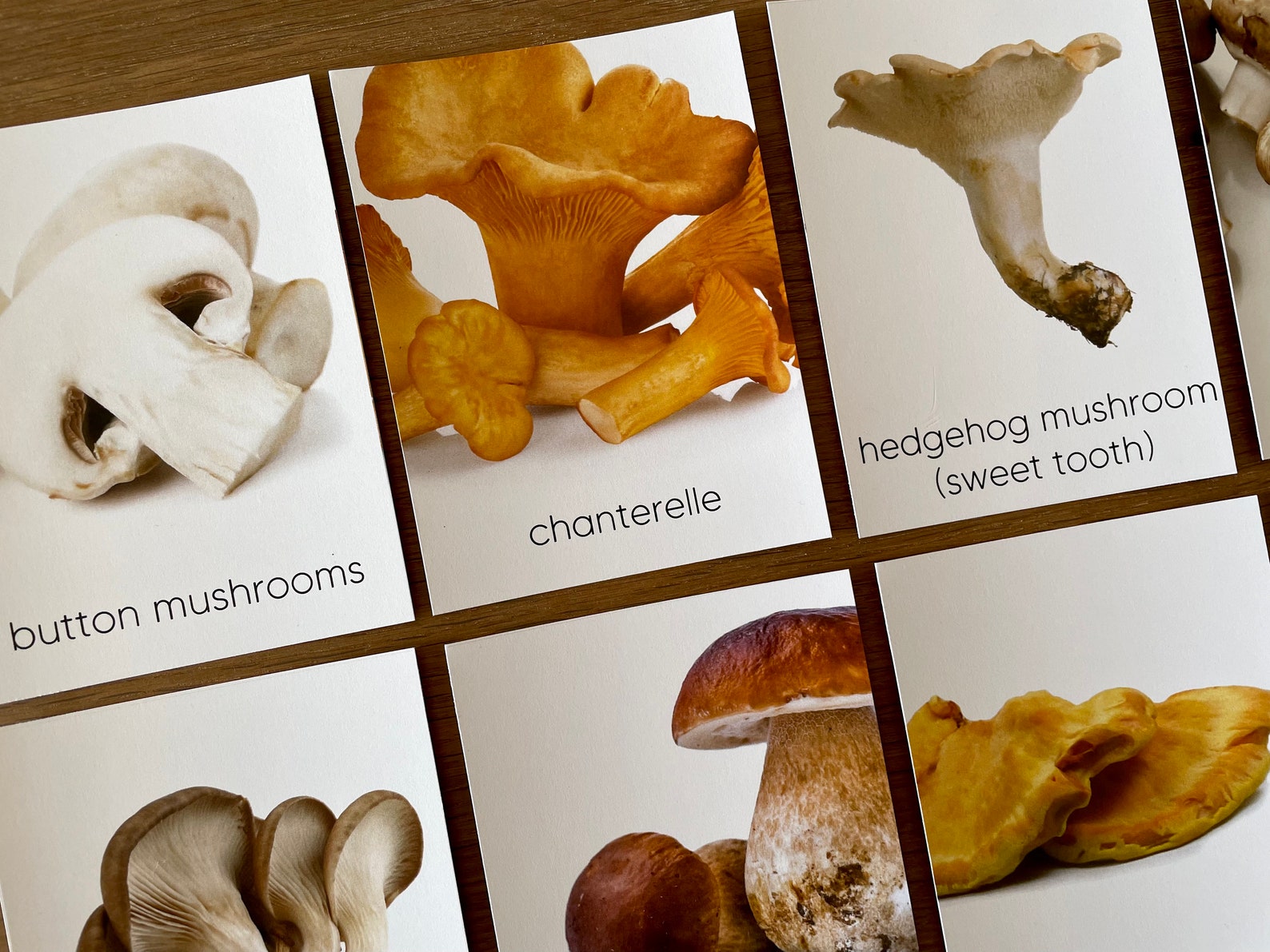 Edible Mushroom Montessori Flashcards Montessori Materials - Etsy