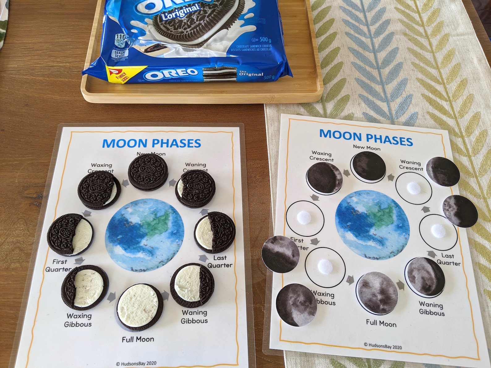 Moon Phases Printable Phases of the Moon Flashcards | Etsy