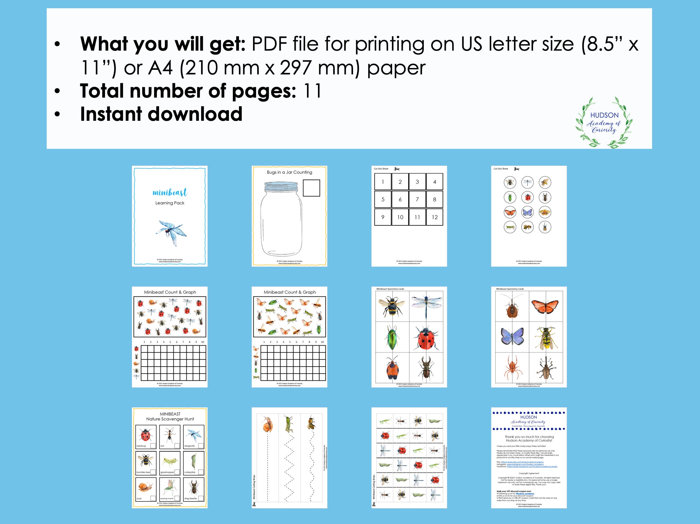 Minibeasts Learning Pack Nature Study Bugs and Insects - Etsy