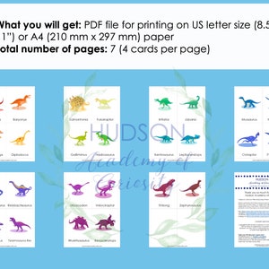 Dinosaur Alphabet Flashcards, Montessori Three Part Cards Cards ...