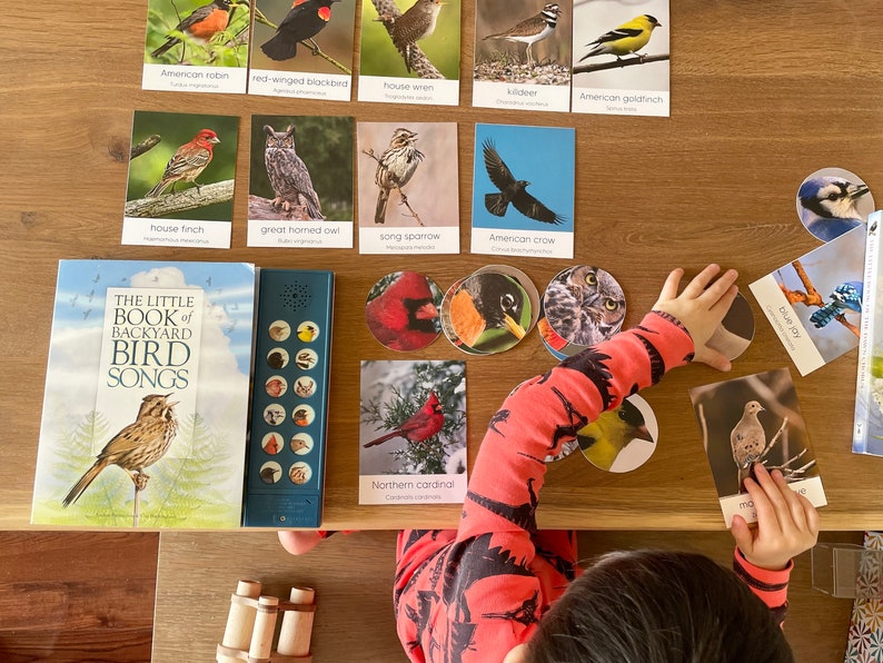 Backyard Birds Cards Birds Matching Flashcards Montessori - Etsy