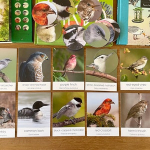 Woodland Birds Flashcards, Birds Matching Flashcards, Montessori ...