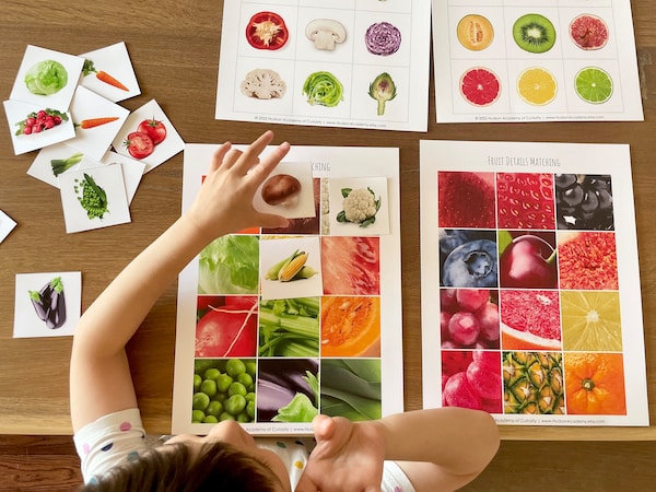 Color Wheel Preschool Game Color Matching Fine Motor Skills - Etsy Canada
