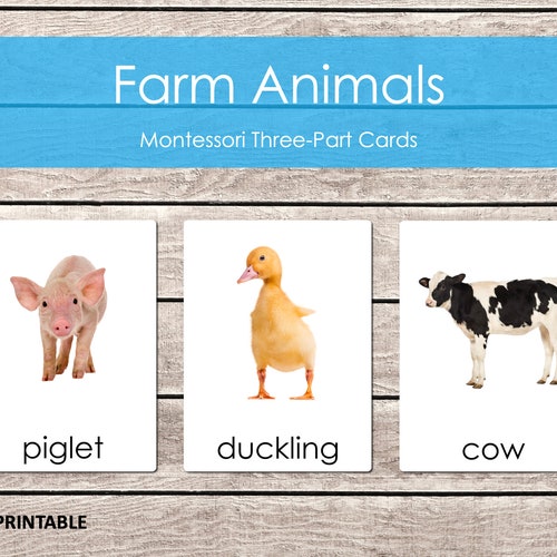 Farm Animals Cards Printable Montessori Materials Printable - Etsy