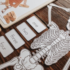 Human Body Math Unit: Anatomy for Kids, Bandaid Math (digital Download ...