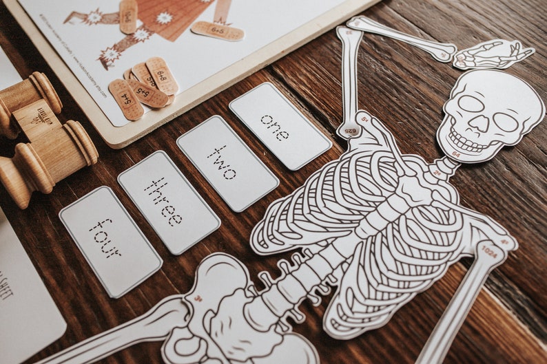 Human Body Math Unit: Anatomy for Kids, Bandaid Math (digital Download ...